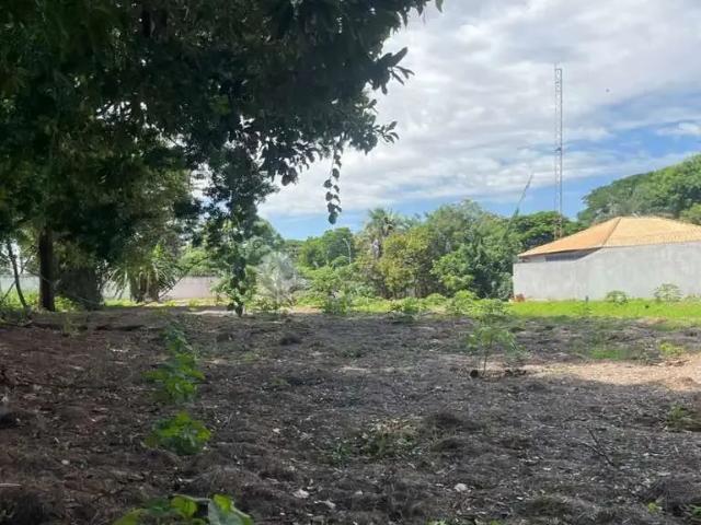Terreno / Lote para Venda em Birigui/SP Jardim São Conrado