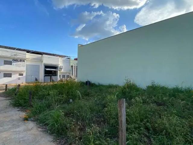 Terreno / Lote para Venda em Birigui/SP Novo Parque São Vicente