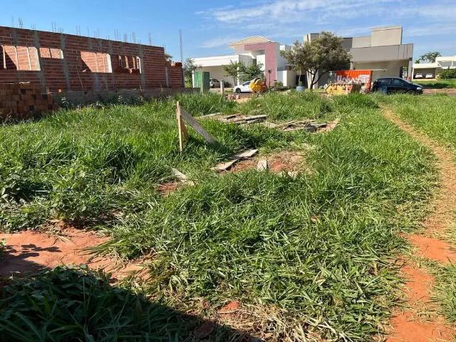Terreno / Lote para Venda em Birigui/SP Parque das Árvores II