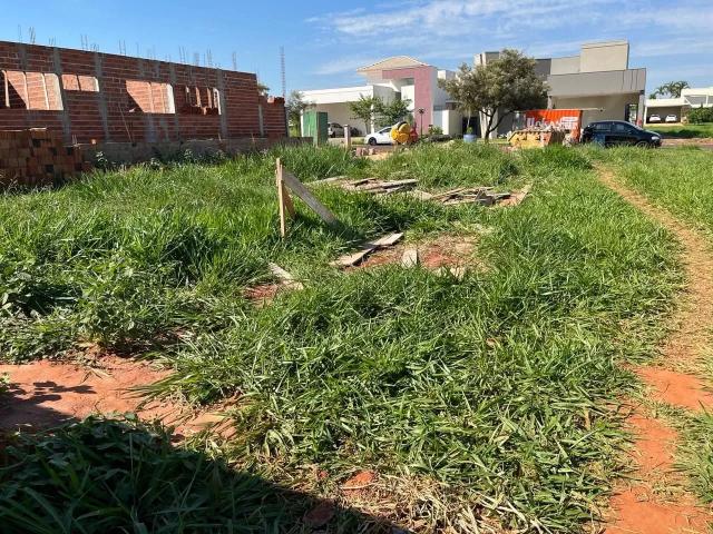 Terreno / Lote para Venda em Birigui/SP Parque das Árvores II