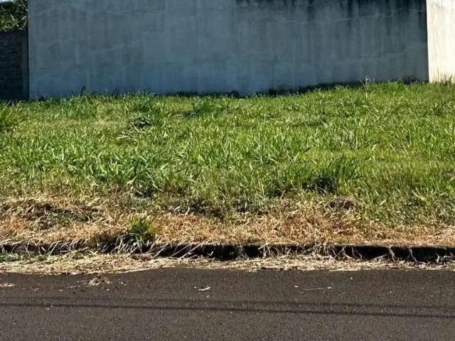 Terreno / Lote para Venda em Birigui/SP Residencial Acapulco