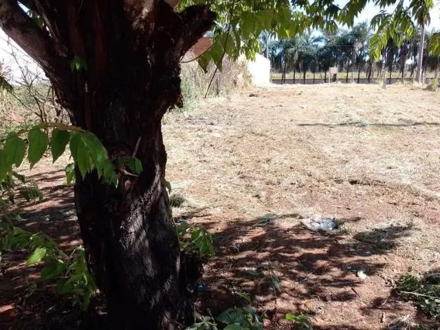 Terreno / Lote para Venda em Birigui/SP Residencial Portal da Pérola II