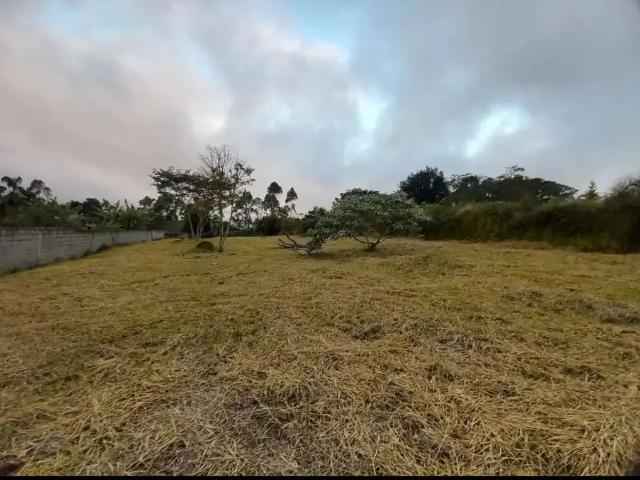 Terreno / Lote para Venda em Biritiba Mirim/SP Castelano