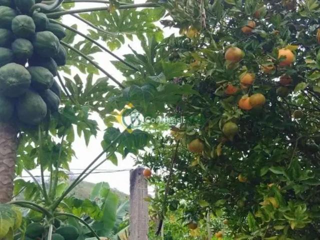 Terreno / Lote para Venda em Biritiba Mirim/SP Centro