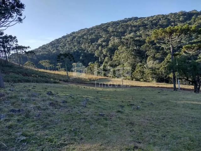 Terreno / Lote para Venda em Bom Jardim da Serra/SC Centro