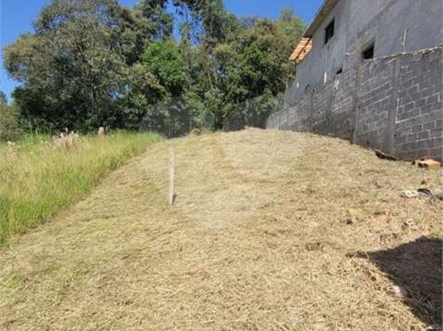 Terreno / Lote para Venda em Bom Jesus dos Perdões/SP Centro