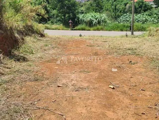 Terreno / Lote para Venda em Bom Jesus dos Perdões/SP Centro