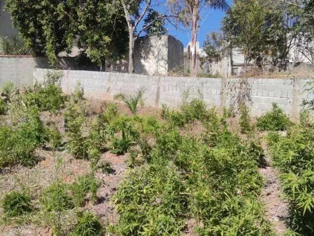 Terreno / Lote para Venda em Bom Jesus dos Perdões/SP Chácaras Neli