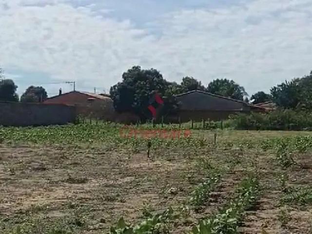 Terreno / Lote para Venda em Bom Jesus da Lapa/BA Centro