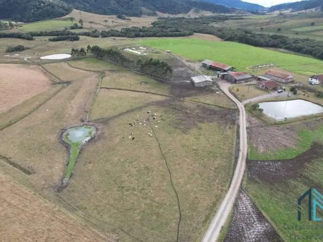 Terreno / Lote para Venda em Bom Retiro/SC Centro