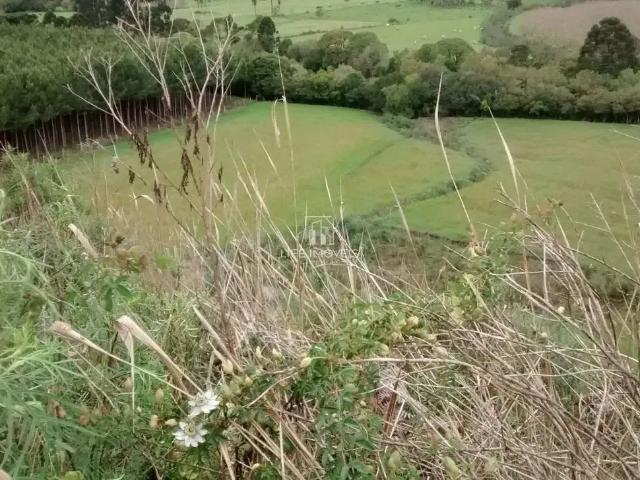 Terreno / Lote para Venda em Bom Retiro/SC Serra do Campo Novo
