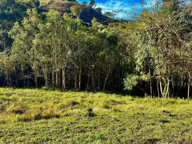 Terreno / Lote para Venda em Bom Repouso/MG Centro