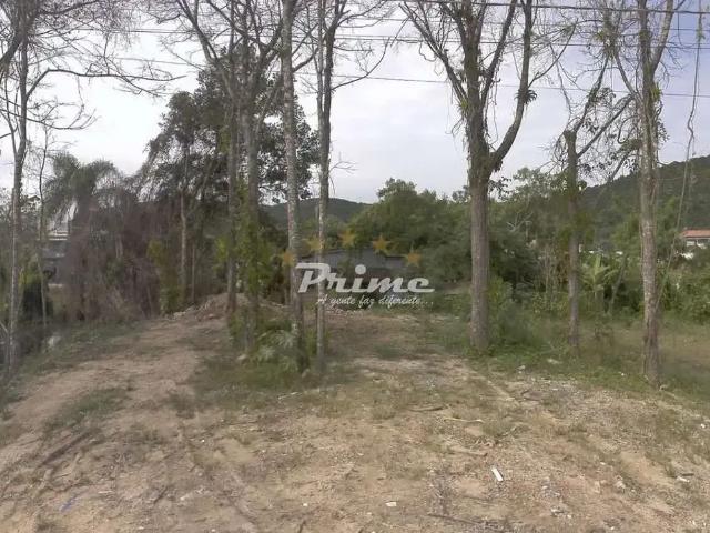 Terreno / Lote para Venda em Bombinhas/SC Zimbros