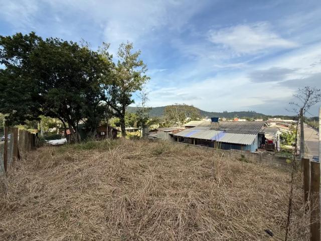 Terreno / Lote para Venda em Bombinhas/SC Zimbros