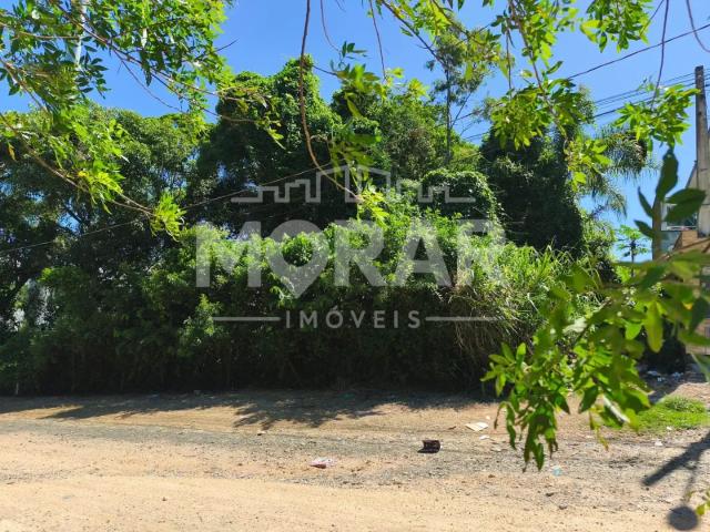 Terreno / Lote para Venda em Bombinhas/SC Zimbros