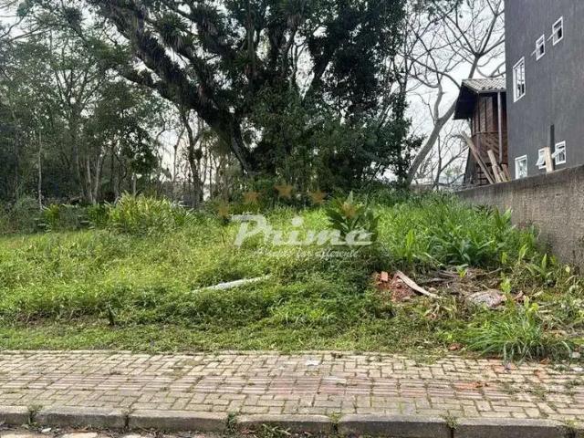 Terreno / Lote para Venda em Bombinhas/SC Bombas