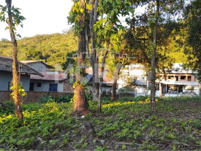 Terreno / Lote para Venda em Bombinhas/SC José Amândio