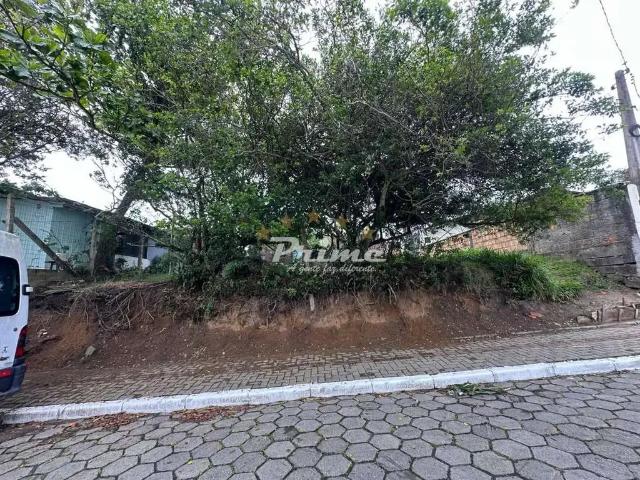 Terreno / Lote para Venda em Bombinhas/SC José Amândio