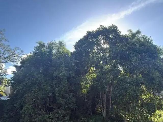 Terreno / Lote para Venda em Bombinhas/SC Mariscal