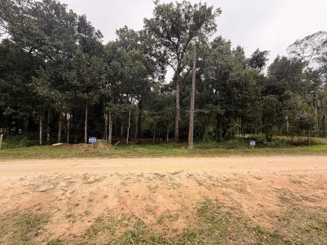 Terreno / Lote para Venda em Bombinhas/SC Mariscal