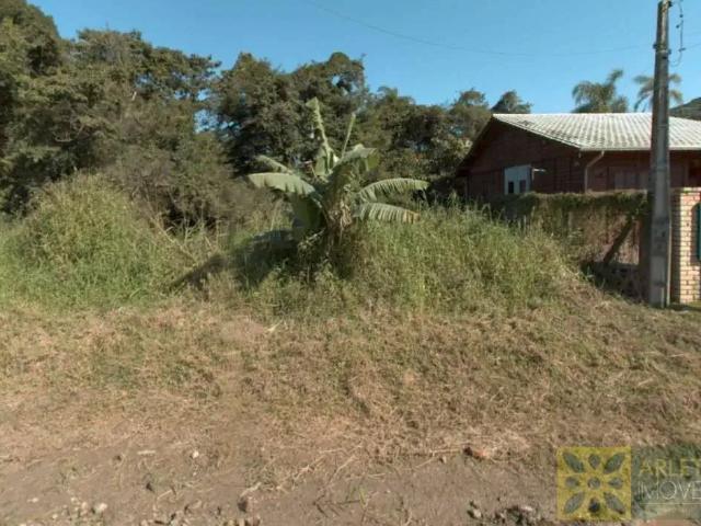 Terreno / Lote para Venda em Bombinhas/SC Mariscal