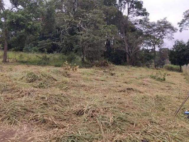 Terreno / Lote para Venda em Bonfim/MG Zona Rural