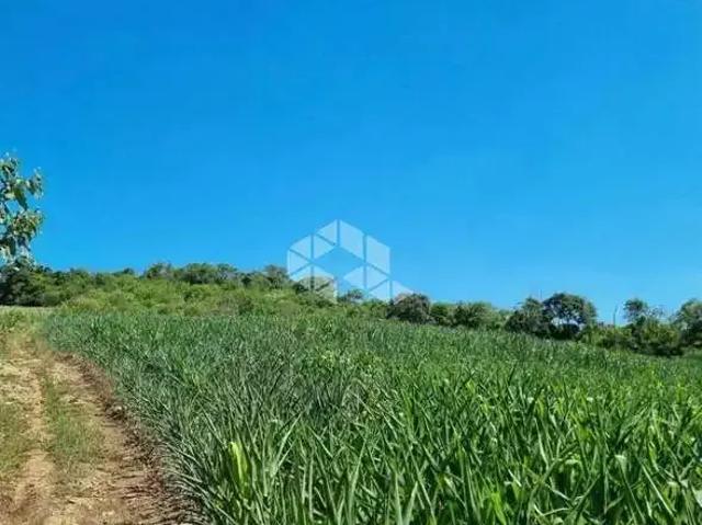 Terreno / Lote para Venda em Boa Vista do Sul/RS São Luiz de Castro