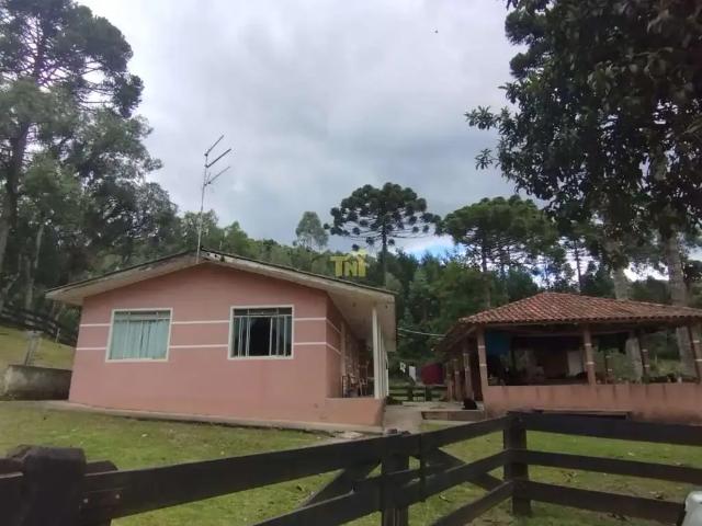 Terreno / Lote para Venda em Bocaiúva do Sul/PR Zona Rural 2 Quartos