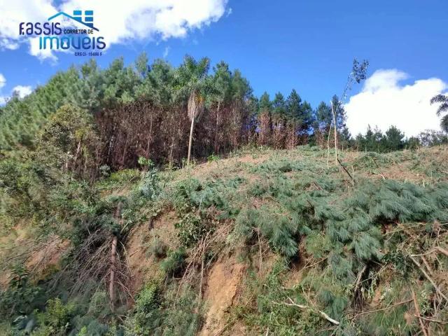 Terreno / Lote para Venda em Bocaiúva do Sul/PR Centro