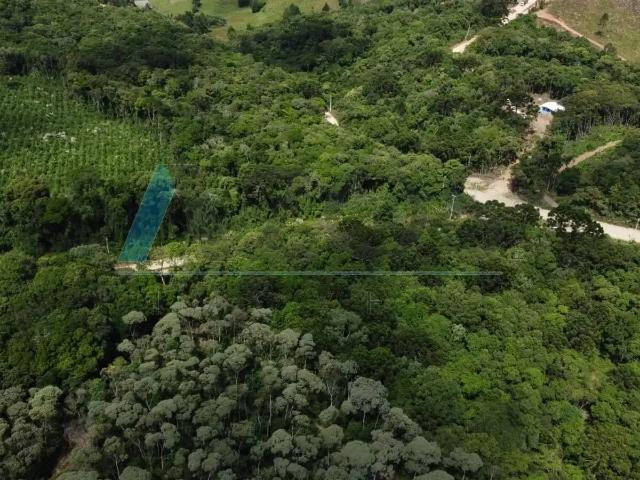Terreno / Lote para Venda em Bocaiúva do Sul/PR Centro
