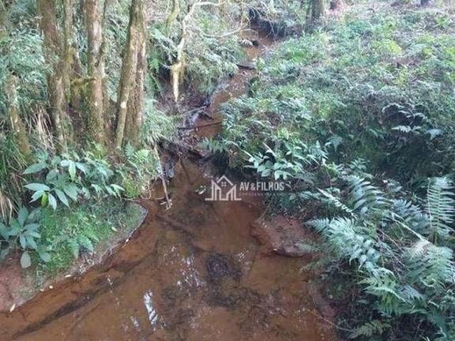 Terreno / Lote para Venda em Bocaiúva do Sul/PR Centro