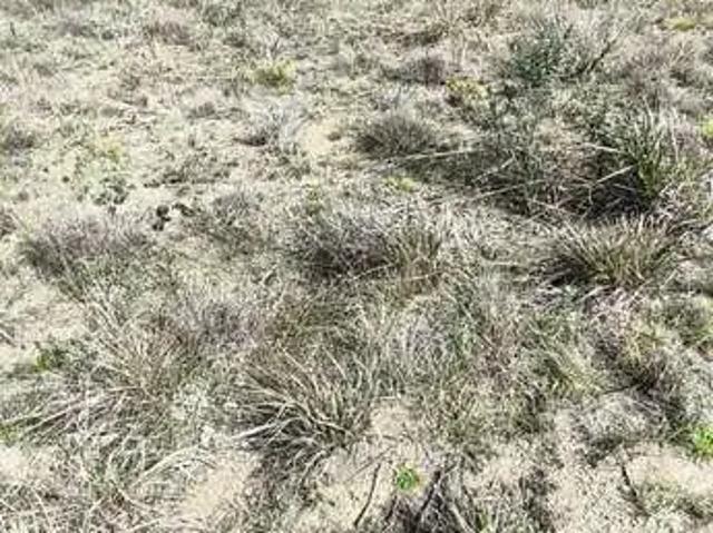 Terreno / Lote para Venda em Bocaiúva do Sul/PR Palmeirinha