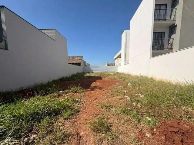 Terreno / Lote para Venda em Boituva/SP Jardim Primavera