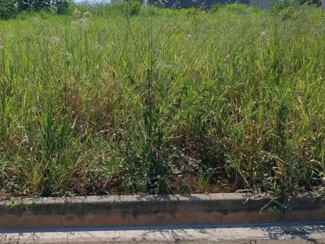 Terreno / Lote para Venda em Boituva/SP Portal Ville Jardins