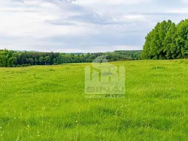 Terreno / Lote para Venda em Boituva/SP Parque Santa Rita de Cassia