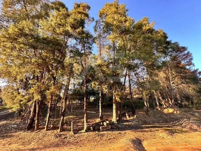 Terreno / Lote para Venda em Boituva/SP Recanto Maravilha