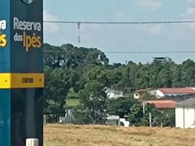 Terreno / Lote para Venda em Boituva/SP Vila dos Ipês