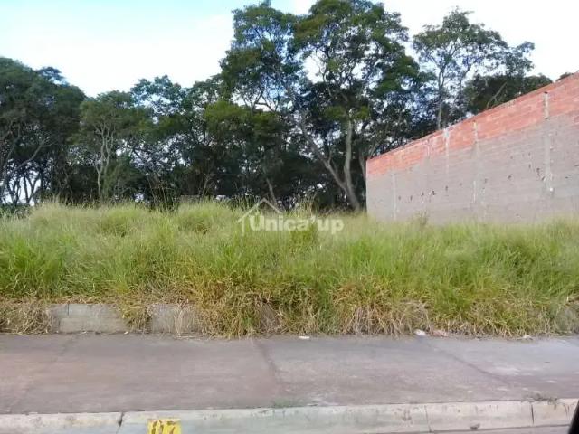 Terreno / Lote para Venda em Boituva/SP Vila dos Ipês