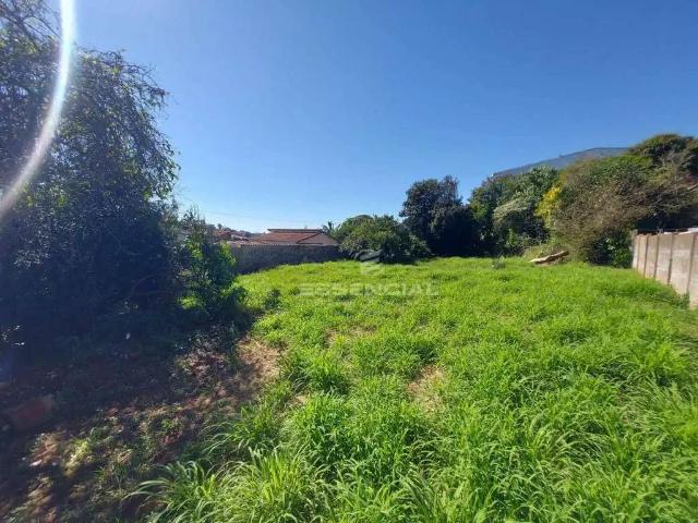 Terreno / Lote para Venda em Botucatu/SP Centro