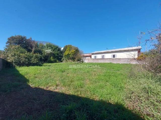 Terreno / Lote para Venda em Botucatu/SP Centro