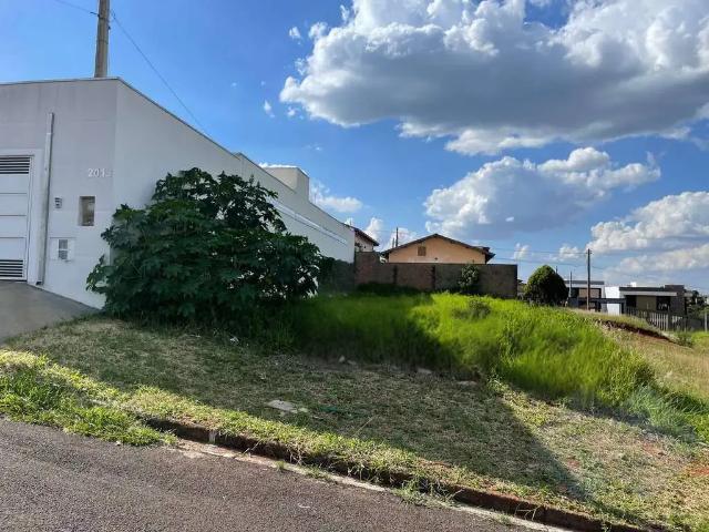 Terreno / Lote para Venda em Botucatu/SP Jardim Ypê