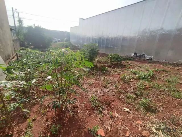 Terreno / Lote para Venda em Botucatu/SP Jardim Ypê