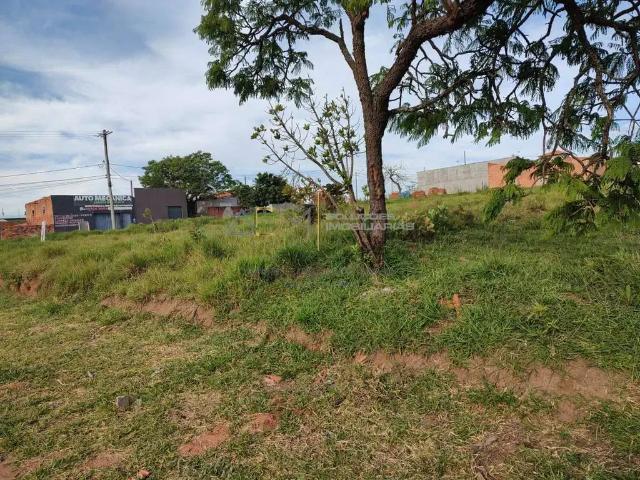 Terreno / Lote para Venda em Botucatu/SP Jardim Botucatu Rubião Júnior