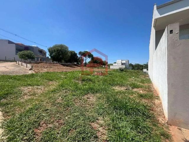 Terreno / Lote para Venda em Botucatu/SP Jardim Chácara dos Pinheiros