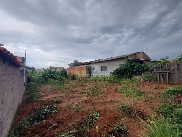 Terreno / Lote para Venda em Botucatu/SP Jardim Continental