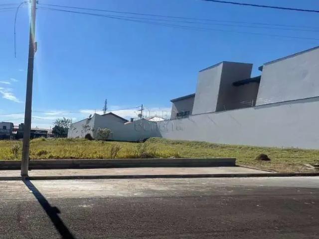 Terreno / Lote para Venda em Botucatu/SP Jardim Regina
