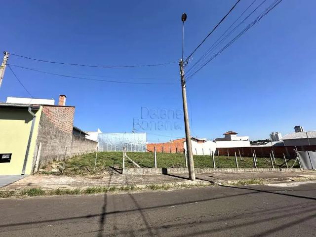 Terreno / Lote para Venda em Botucatu/SP Jardim Regina