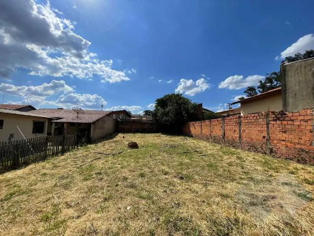 Terreno / Lote para Venda em Botucatu/SP Jardim Santa Mônica
