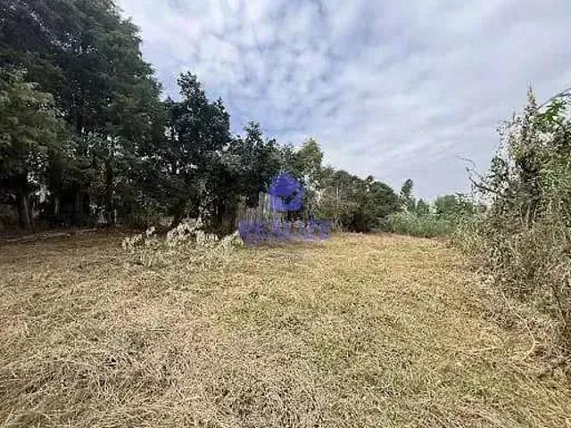 Terreno / Lote para Venda em Botucatu/SP Recanto Árvore Grande