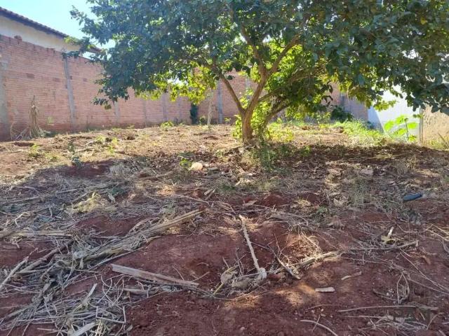 Terreno / Lote para Venda em Botucatu/SP Residencial Ouro Verde